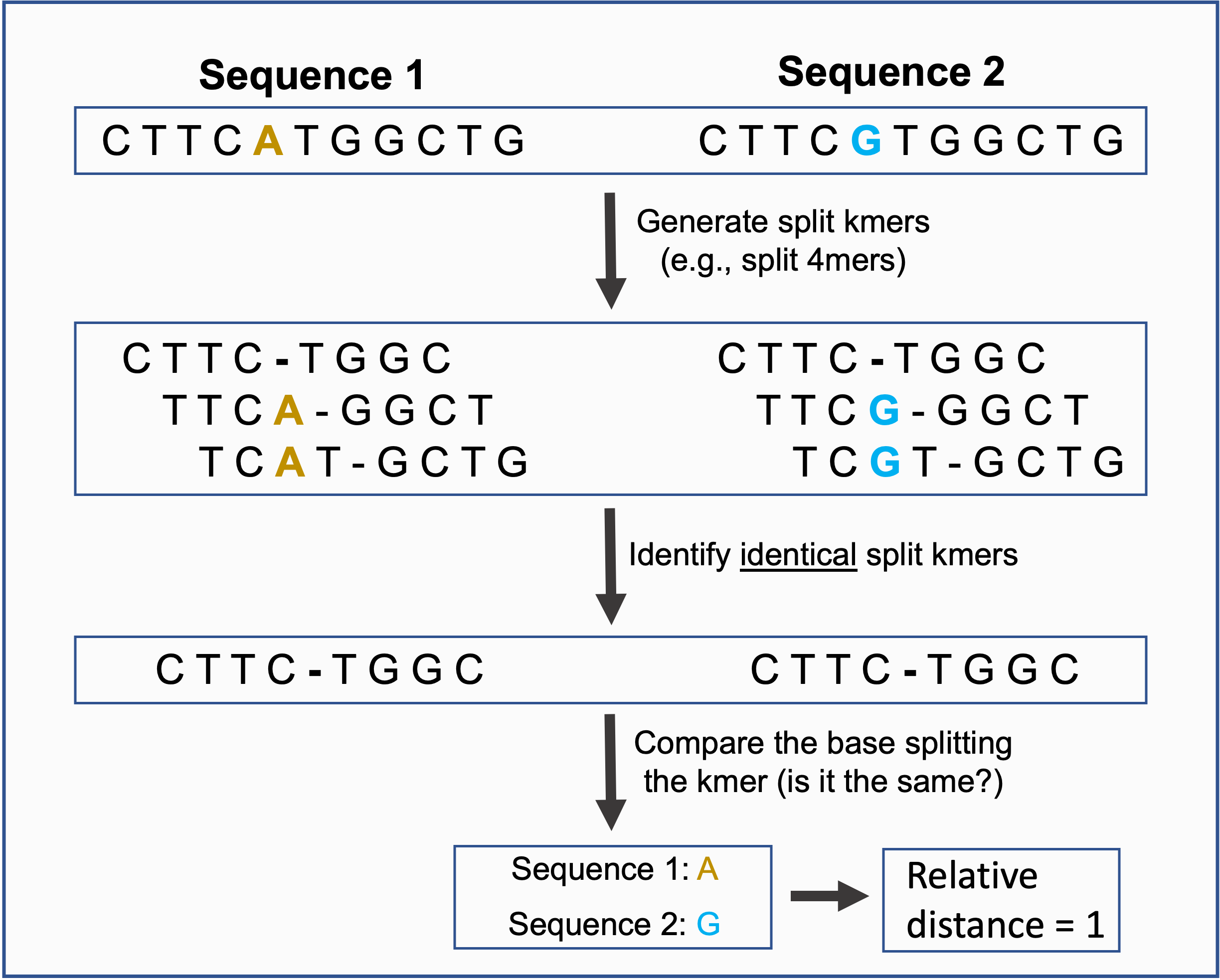 Interpreting a Phylogenetic Tree – CZ ID Help Center