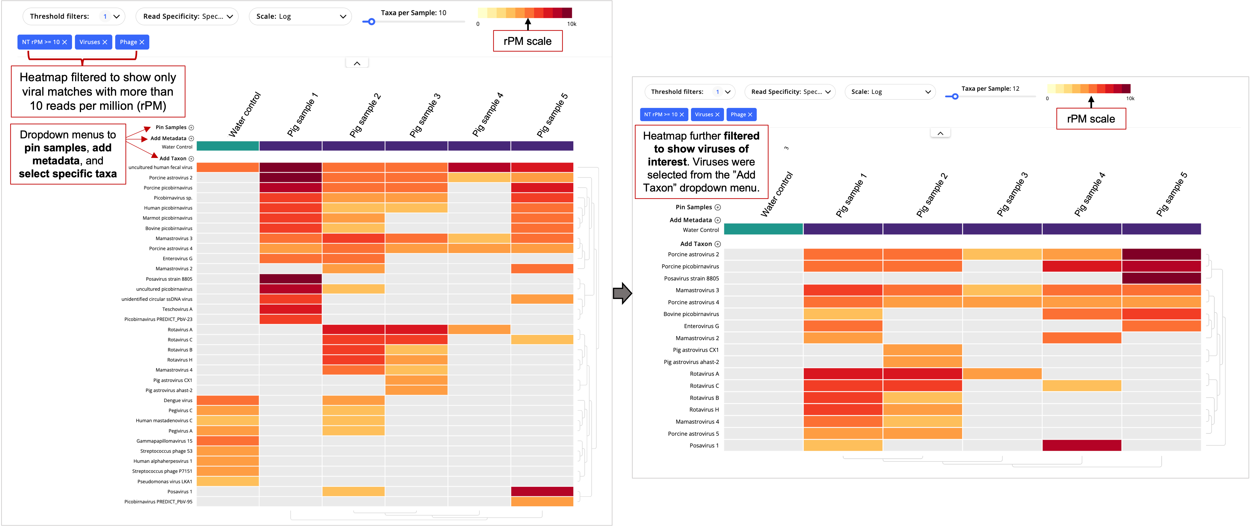 CZ ID Overview – CZ ID Help Center