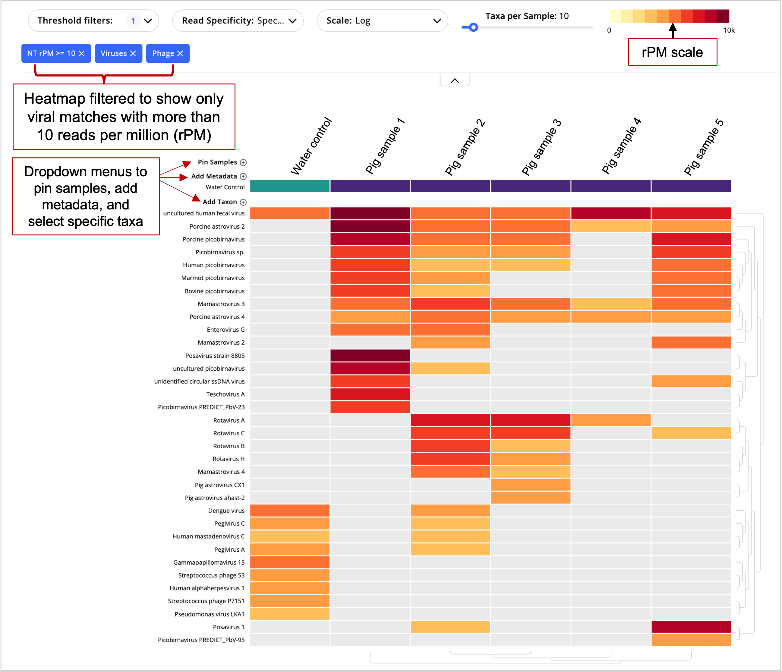 Guide to mNGS Data Analysis – CZ ID Help Center