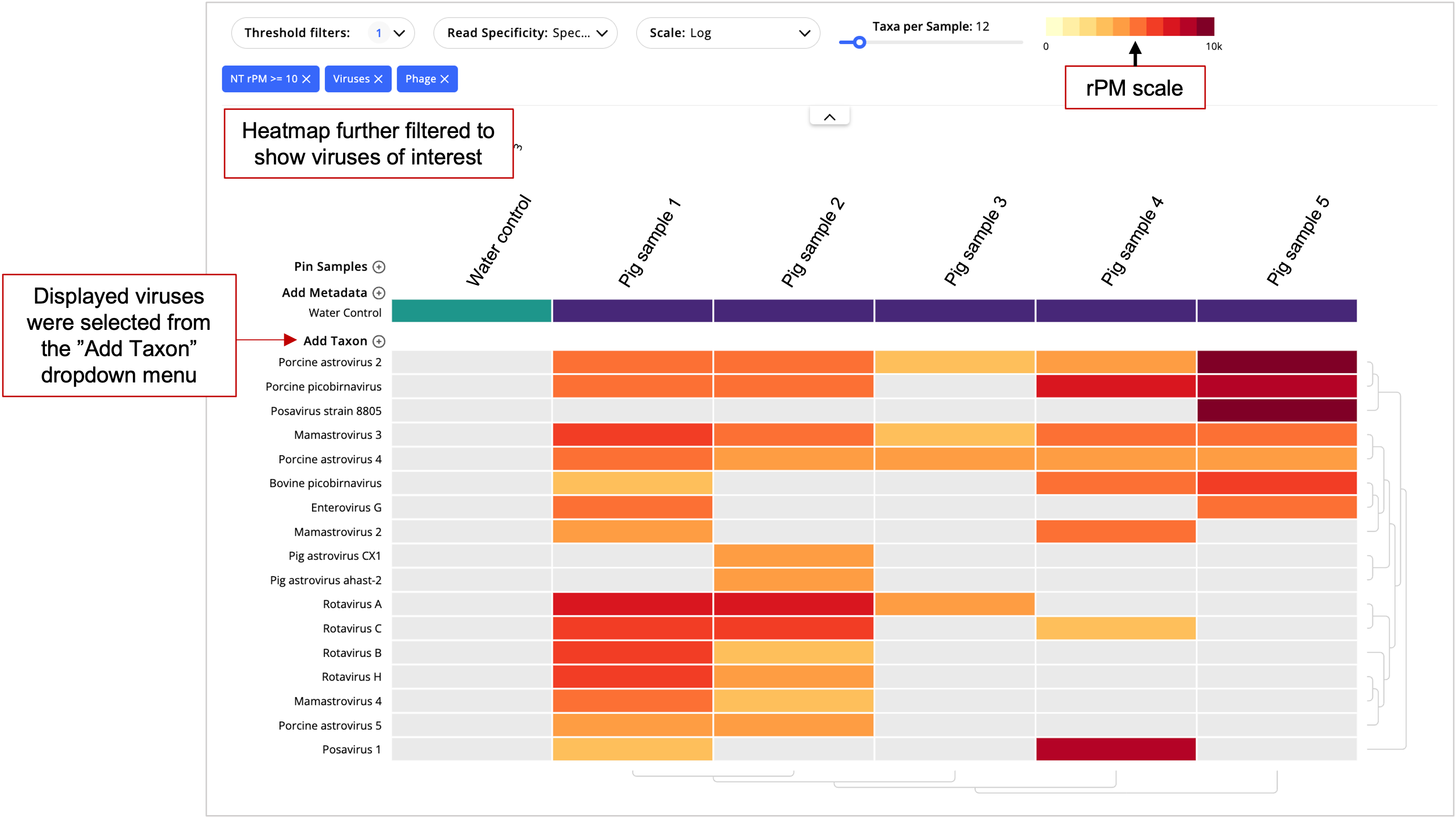 Guide to mNGS Data Analysis – CZ ID Help Center