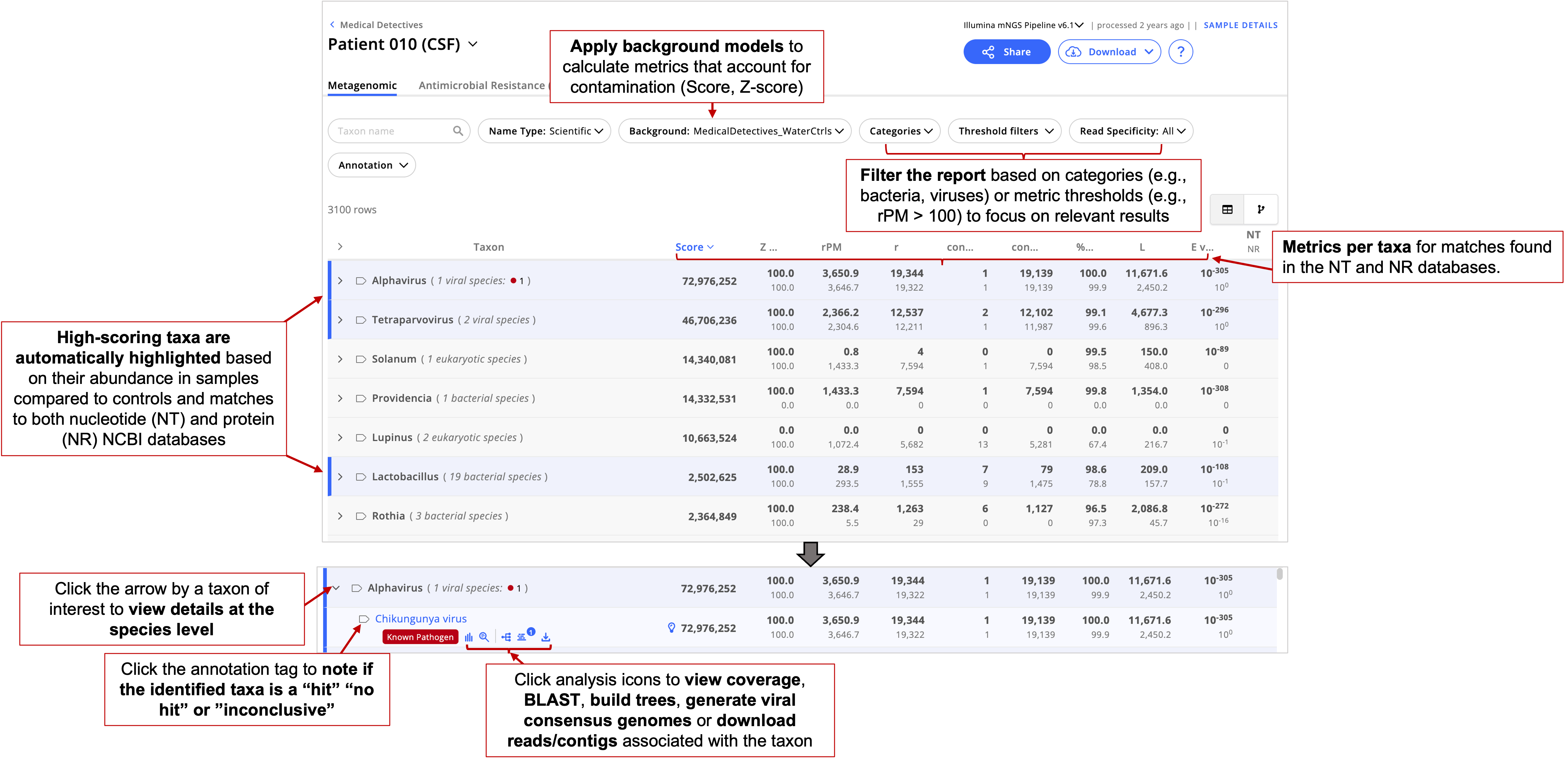 Quick Guide to mNGS Analysis – CZ ID Help Center