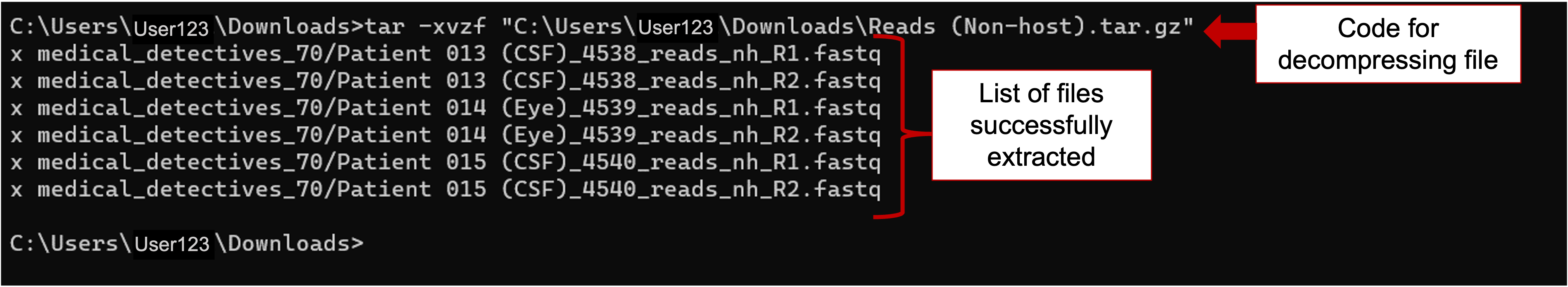 Open Downloaded TAR.GZ Files – CZ ID Help Center