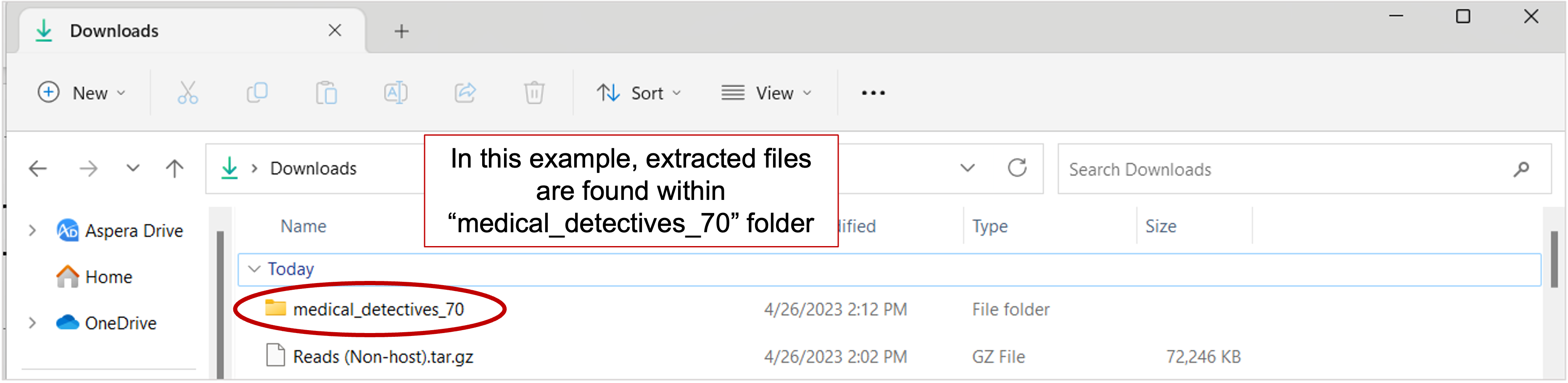 Open Downloaded TAR.GZ Files – CZ ID Help Center
