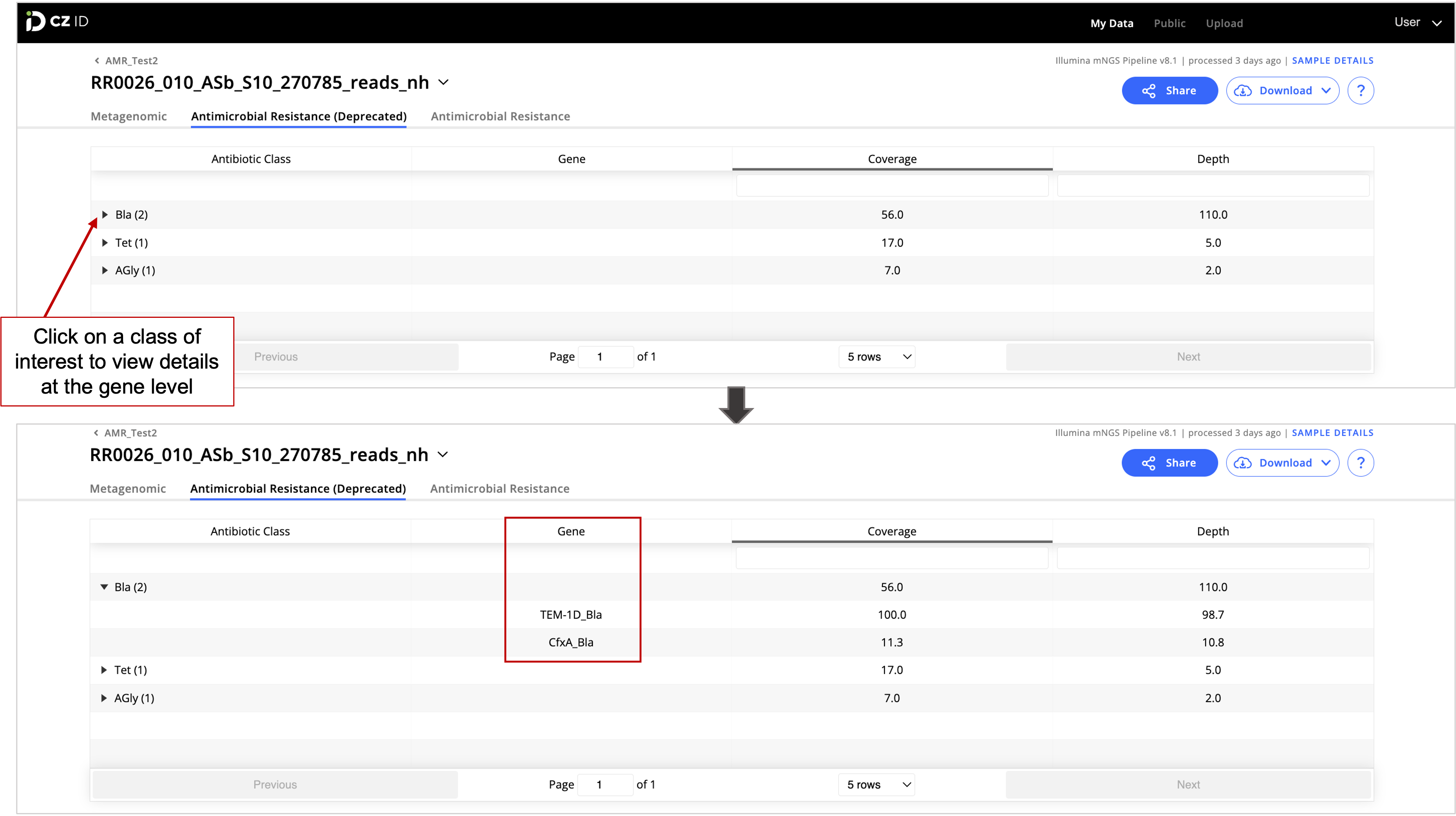 Deprecated AMR Pipeline Results – CZ ID Help Center