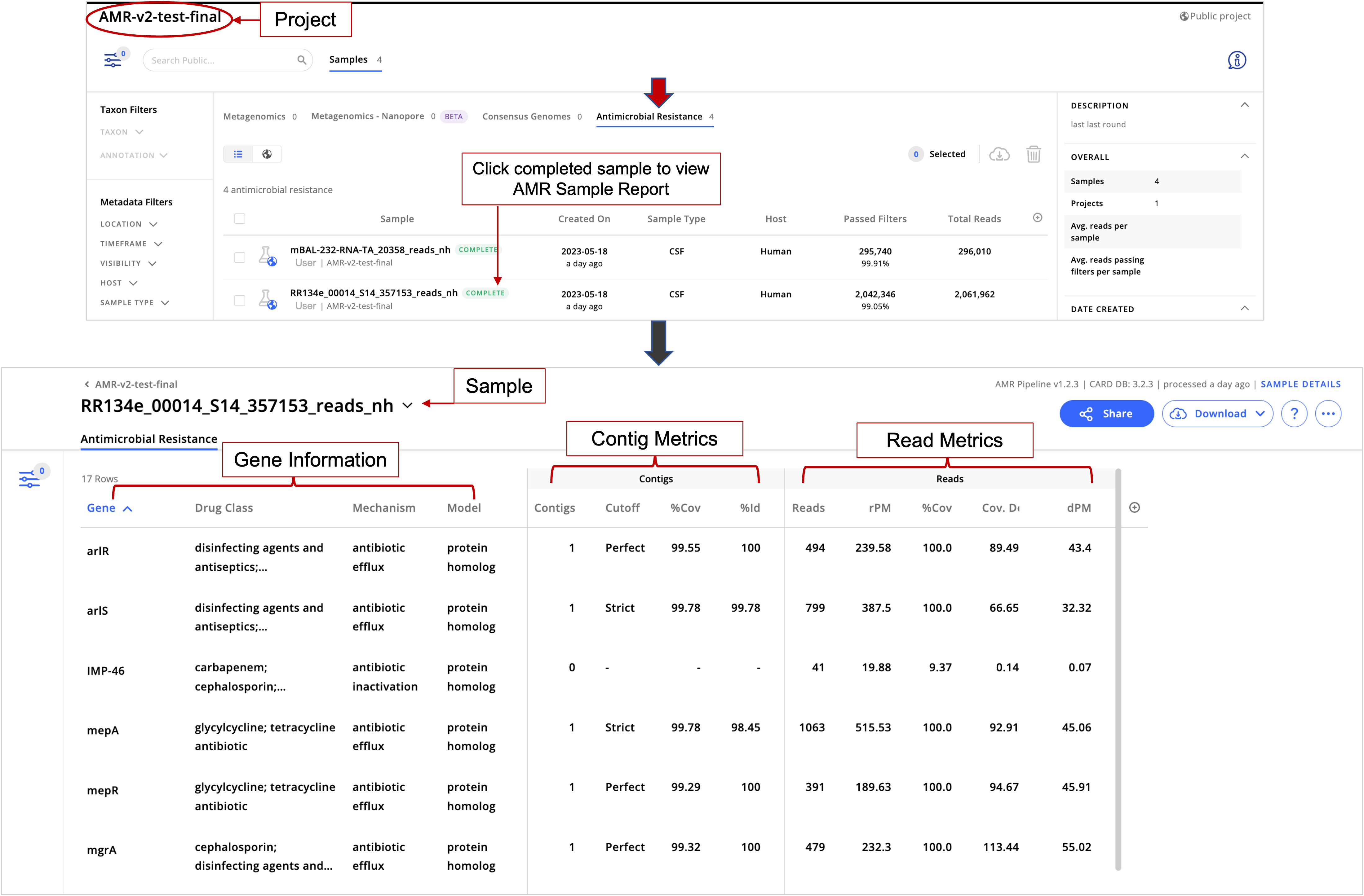 amr-sample-report-metrics-cz-id-help-center