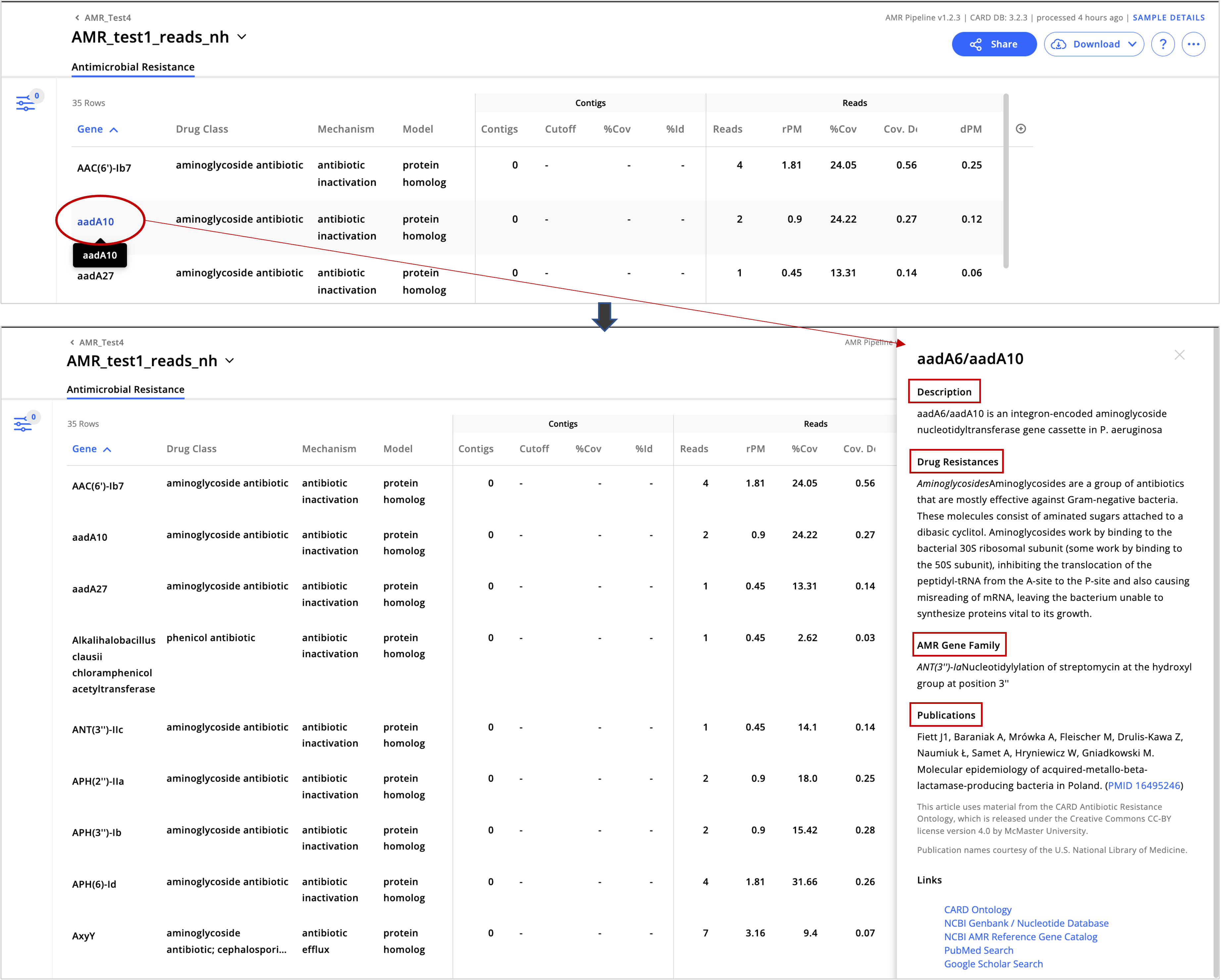 AMR Sample Report Metrics and Analysis – CZ ID Help Center